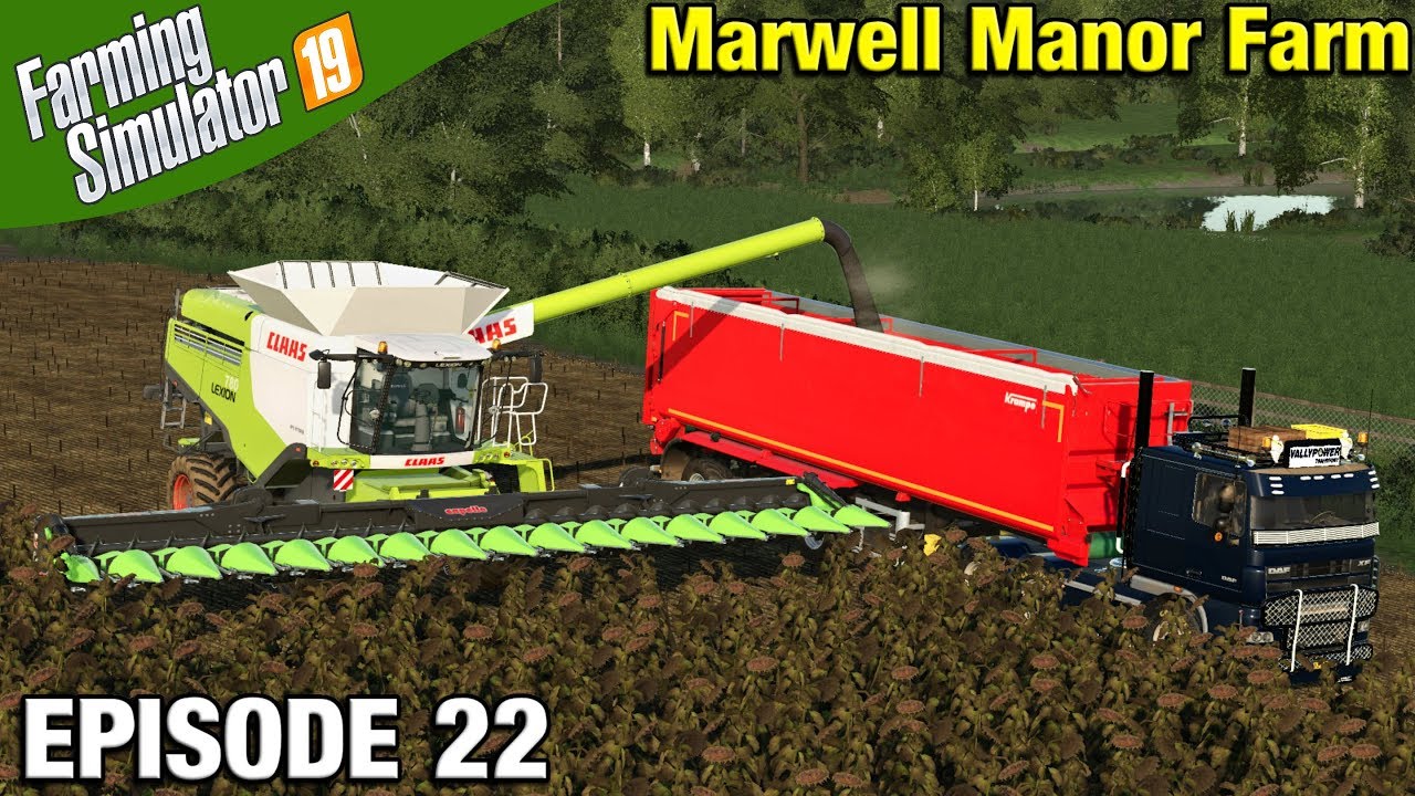 SUNFLOWER HARVESTING Farming Simulator 19 Timelapse - Marwell Manor ...