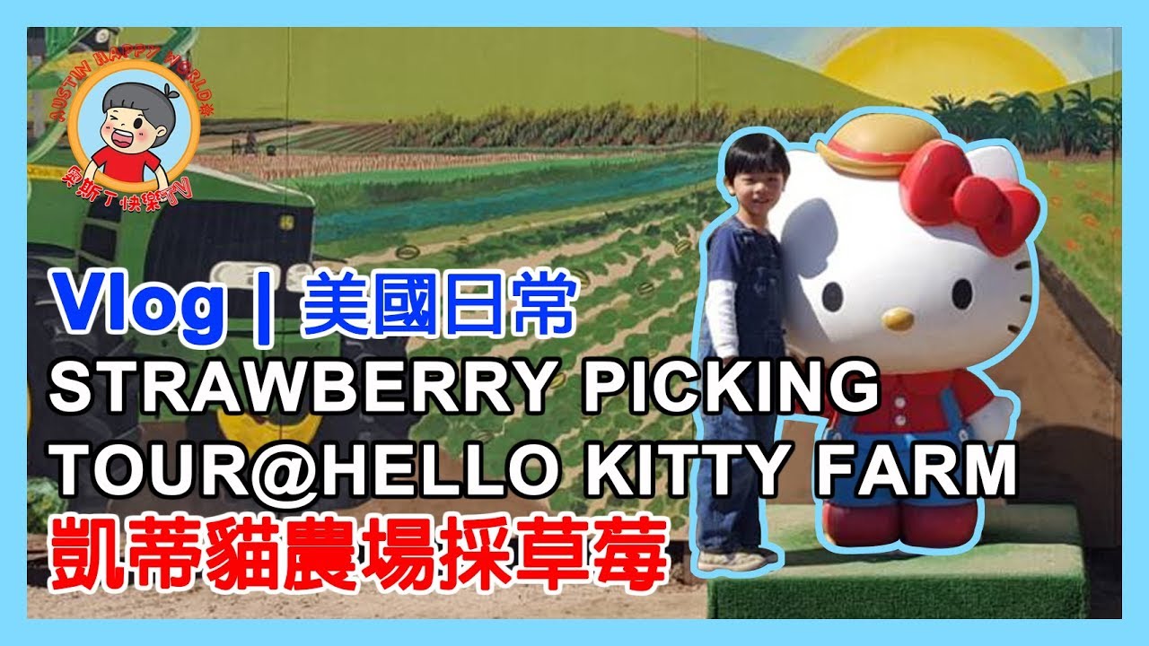 [Fun Activity] Strawberry Picking Tour@Hello Kitty Farms (with subtitle ...
