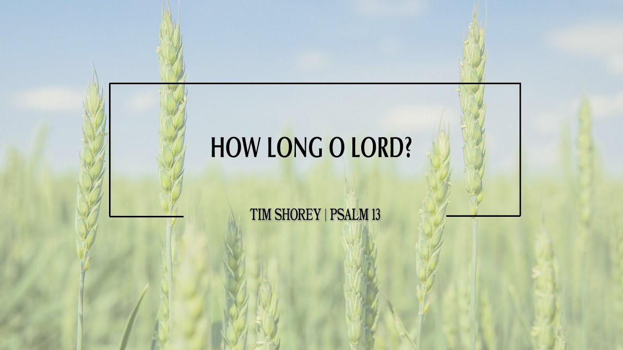 Sunday Service | How Long O Lord? | Psalm 13 - YouTube