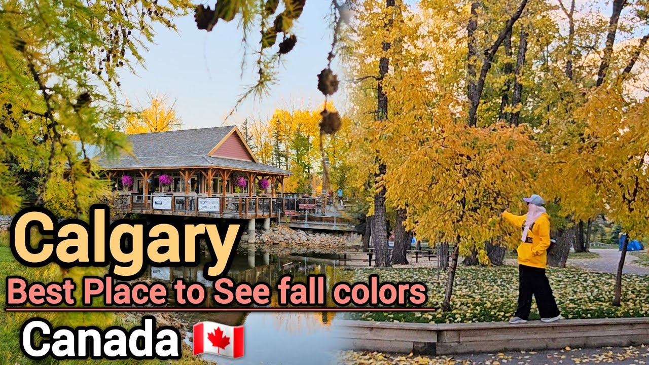 Fall in Calgary 2024 | Best place to see fall colors in Calgary Alberta ...