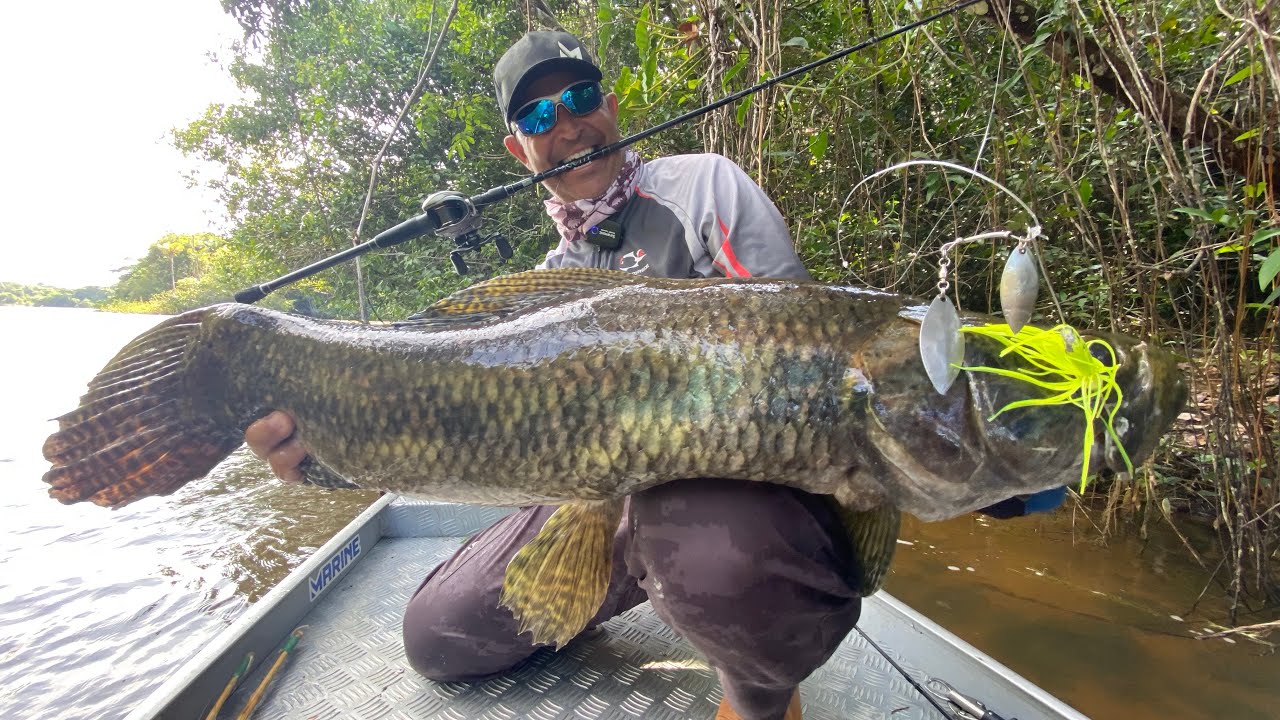 IMPRESSIONANTE O TAMANHO DESSE TRAIRÃO. - YouTube