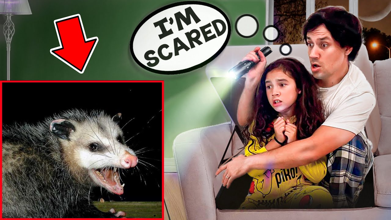 An AGGRESSIVE OPOSSUM Broke into Our HOUSE in The MIDDLE of The NIGHT ...