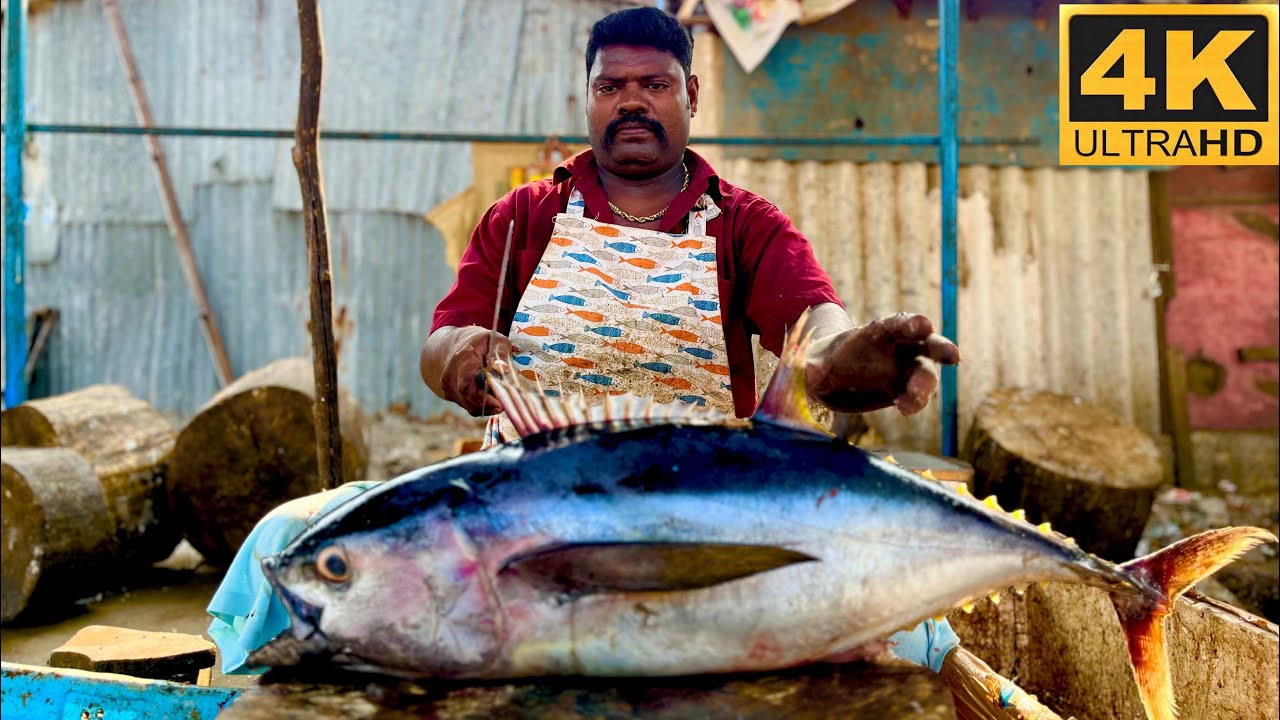 Kerai fish cutting video Fishcuttingrs #fishcuttingrs #kasimedu #fish ...