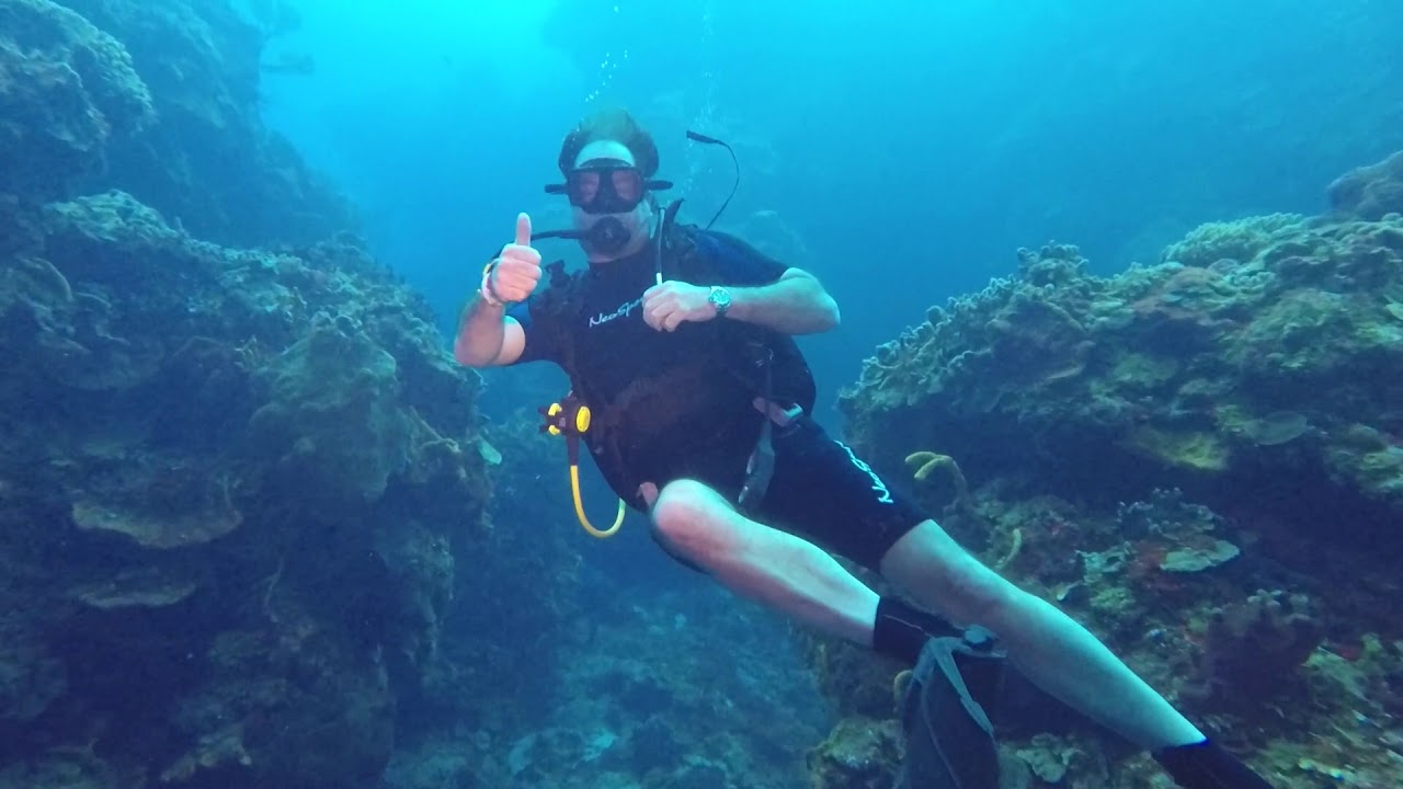 Tulum Diving I Cozumel Island - YouTube