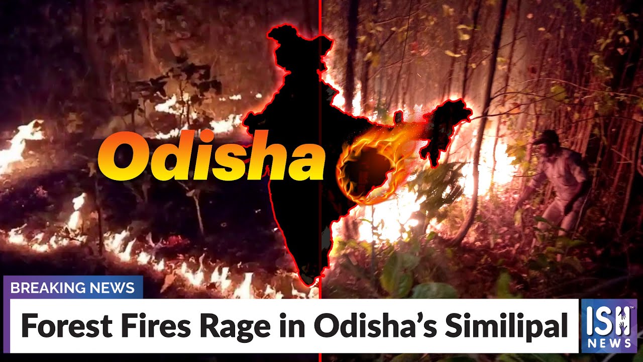 Forest Fires Rage in Odisha’s Similipal - YouTube