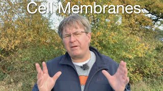 Cellular Membranes: Protection, Structure, and Function