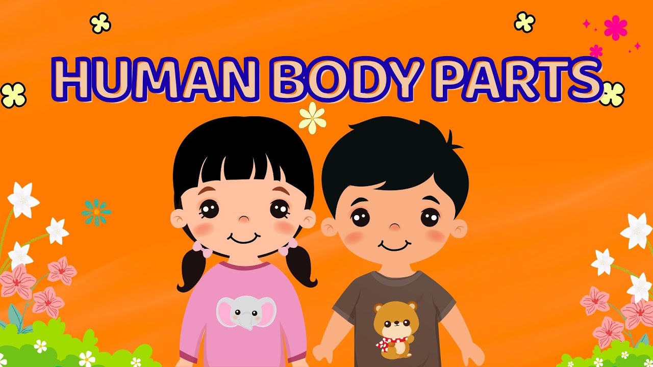 Learn Body Parts for Kids | Fun Human Body Song & Vocabulary for ...