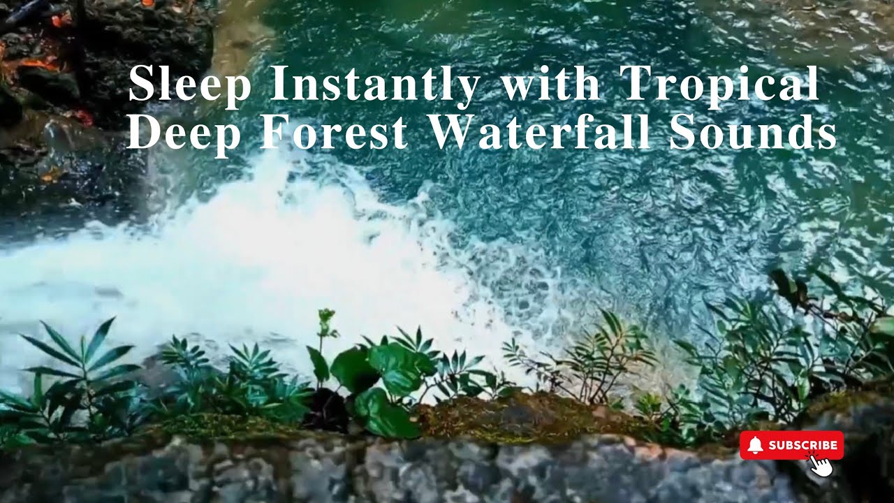 Sleep Instantly with Tropical Deep Forest Waterfall Sounds - Nature ...