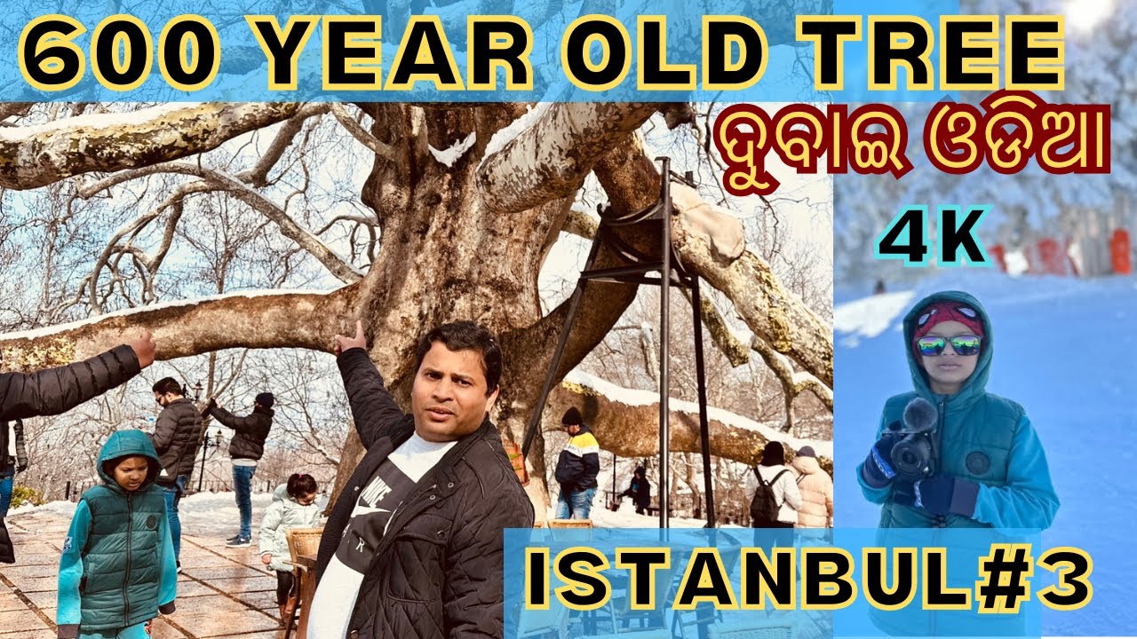 Bursa road Trip | ବରଫ ଗଛ | 600 year old tree | Istanbul series p-3 ...