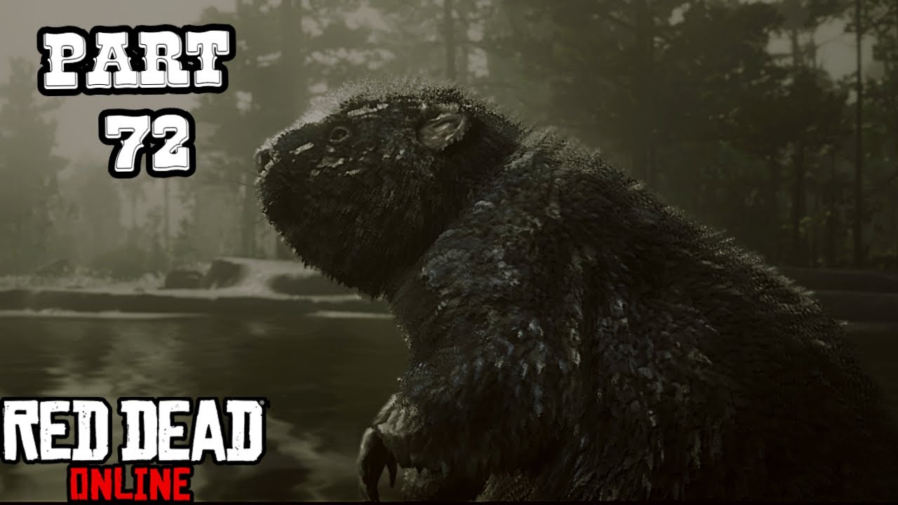 RED DEAD ONLINE PART 72 - Night Beaver (LEGENDARY ANIMAL) - YouTube