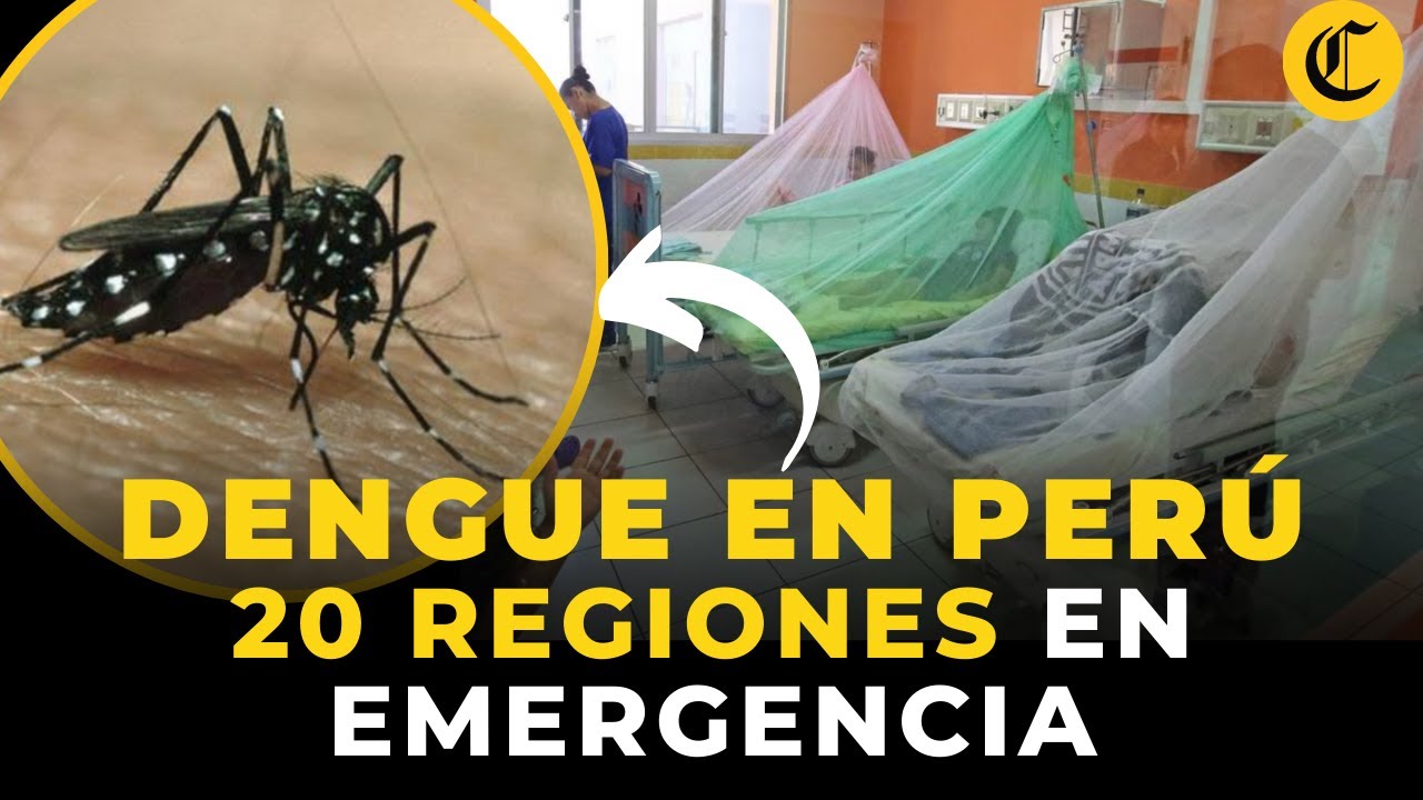 🚨DENGUE EN PERÚ: 20 regiones en EMERGENCIA, SÍNTOMAS y cómo prevenirlo ...