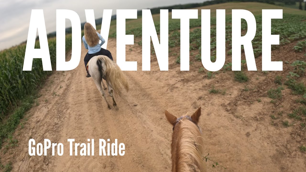 Riding through Rolling Hills on Horseback (POV) - YouTube