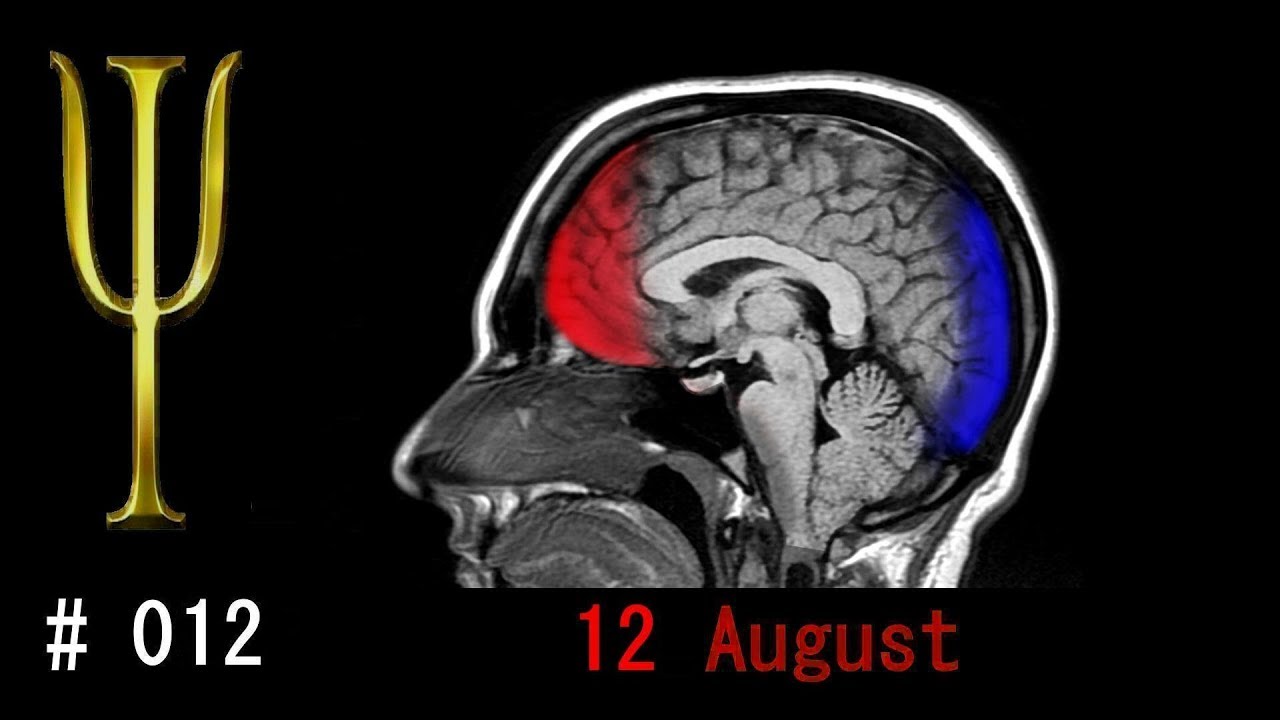 Overregularization - Psychology Term Of The Day - YouTube