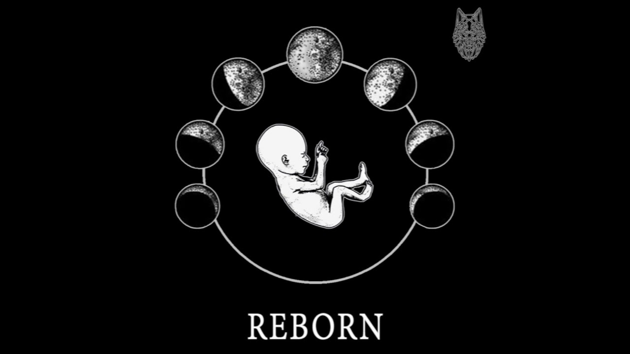 Wolf // Reborn (OFFICIAL AUDIO) - YouTube