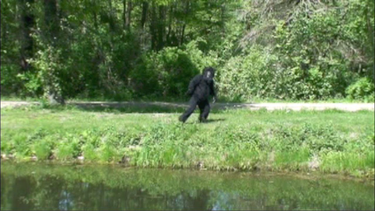 GOOSE HUNTING BIGFOOT FOOTAGE - YouTube