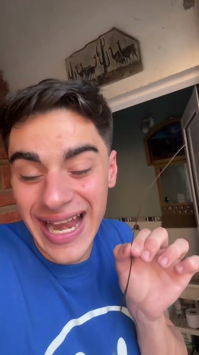 La AraÑa De Mi Casa Esta Viva🧐🕷️ Youtube