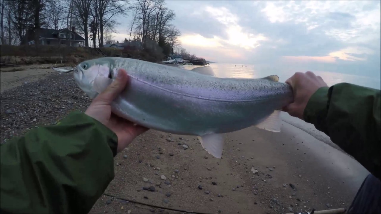 Pier fishing chrome Steelhead on hardware (HOOKSET) - YouTube