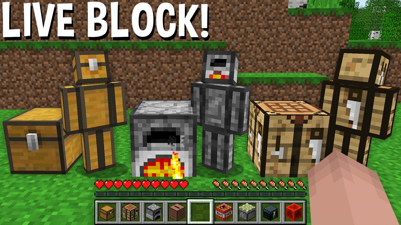 it`s IMPOSSIBLE but this METHOD to LIFE any BLOCK in Minecraft! LIVE ...