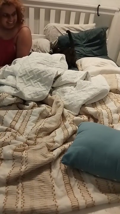 My cats first time using catnip #catlover - YouTube