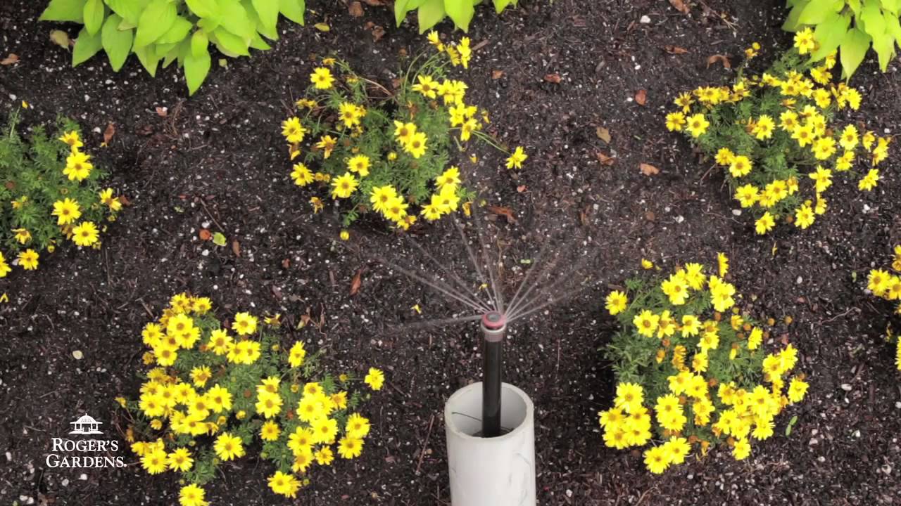 CA Friendly Gardening Solutions | Testing Your Sprinkler System with ...
