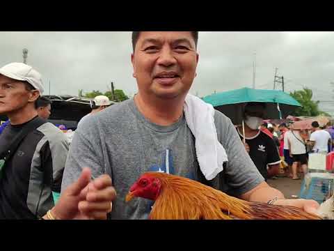LATEST UPDATE SA BOCAUE!! SI IDOL NA BUYER BITAW MUNA BAGO BILI PAG NANALO MAY BALATO LAHAT.