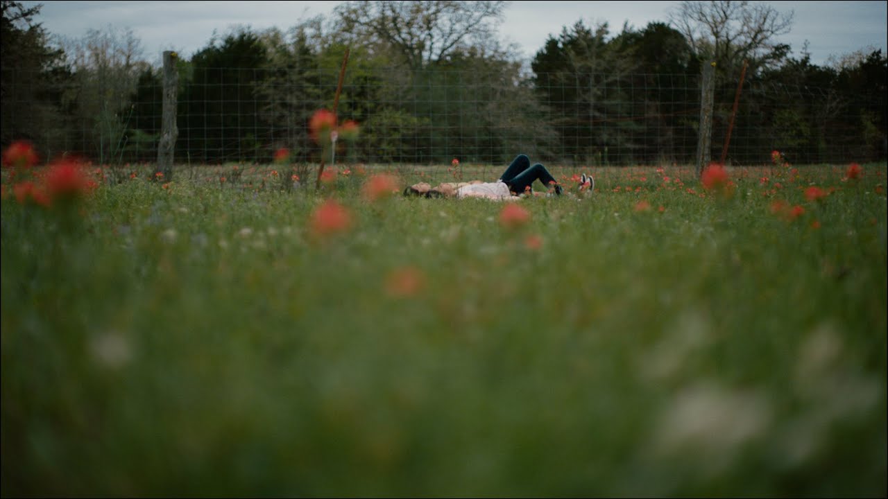 Los Mosquitos by Nicole Chi - Official Trailer - YouTube