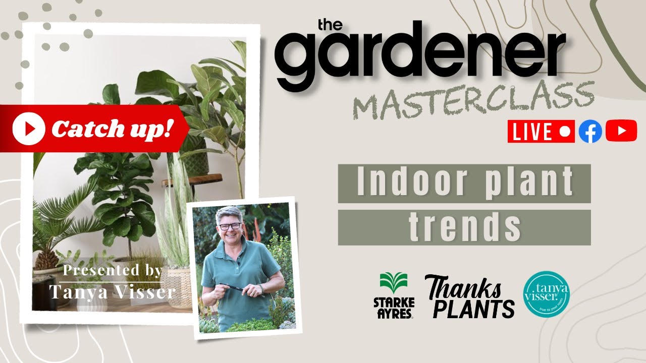 Indoor Plant Trends Masterclass with Tanya Visser - YouTube