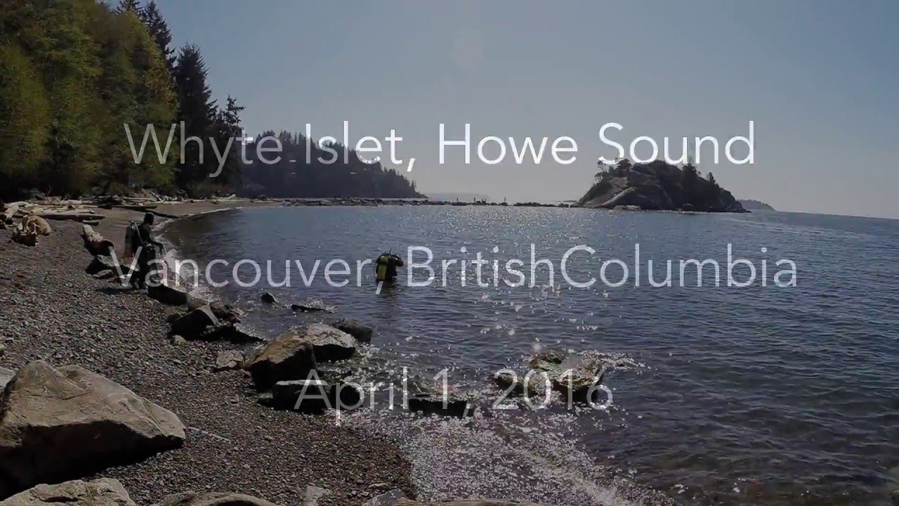 Diving Howe Sound, Vancouver , B.C. - YouTube
