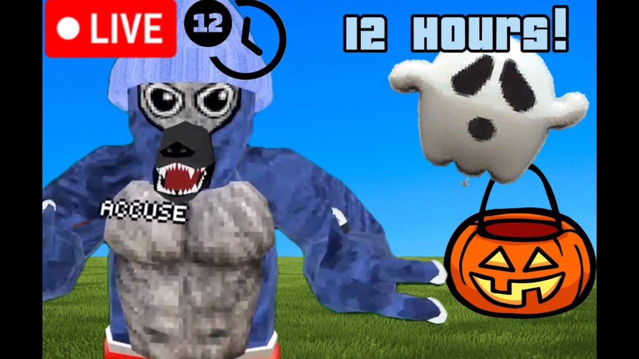 12 HOUR LIVE - YouTube