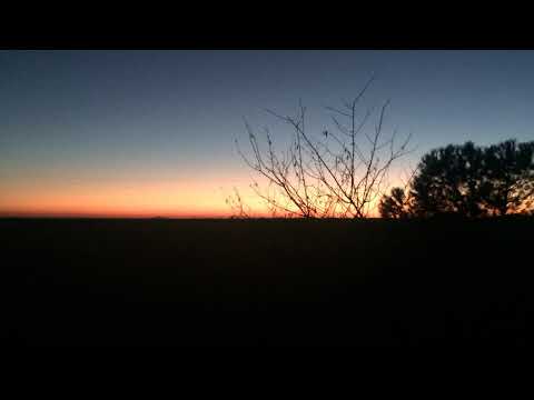 Nfs payback ucmalara devam keeee