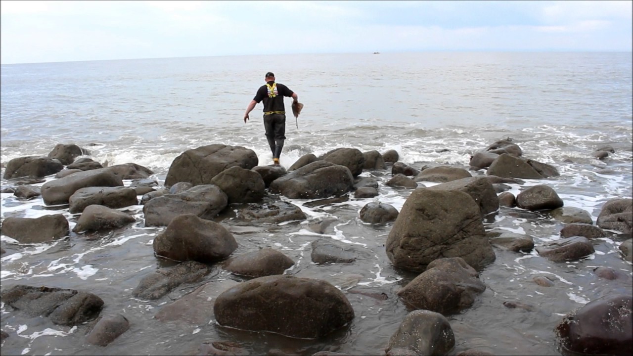 Ray Hunt Episode six : Hitting it right on the Bristol channel Special ...