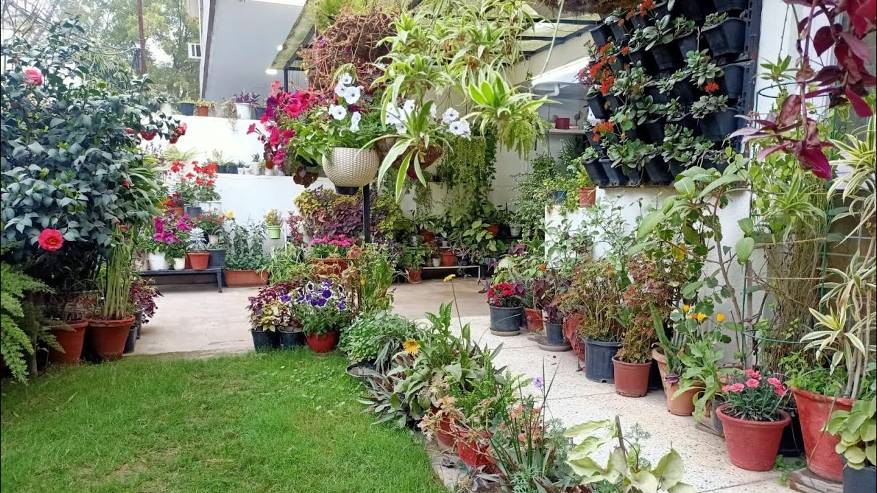 Garden tour of permanent plants with names - YouTube