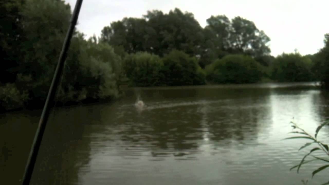 Henlow Bridge Lakes - YouTube