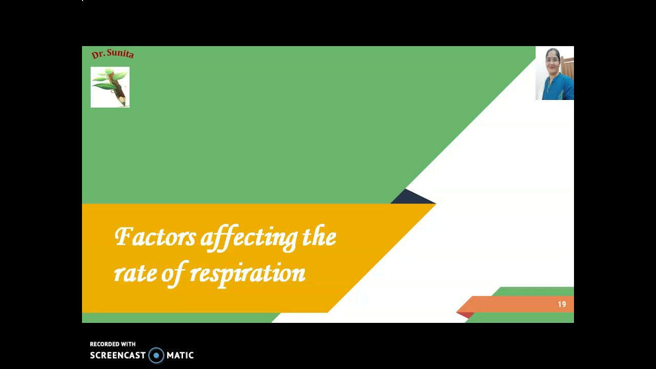 Factors Affecting rate of respiration (External & Internal) - YouTube