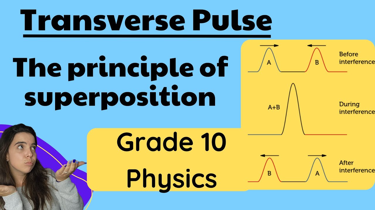 Grade 10 Transverse Pulses And The Principle Of Superposition YouTube