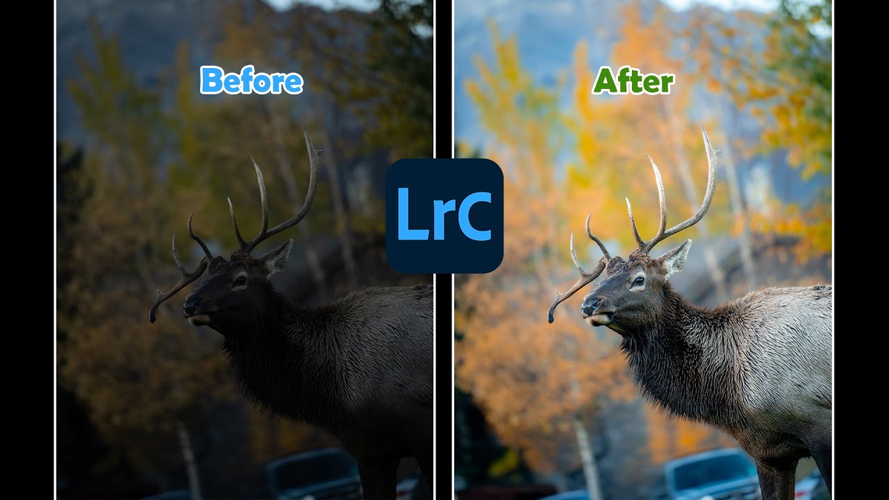 Photo Editing in Lightroom: Transforming Raw Images Like a Pro - YouTube
