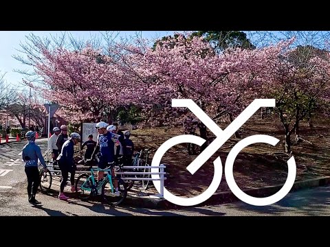 Yokosuka Cycling Club | Miura Sakura x Dark Arts Coffee 2.21.2026