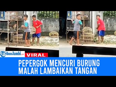 Kocak 2 Bocah Kepergok Mencuri Burung, Malah Lambaikan Tangan