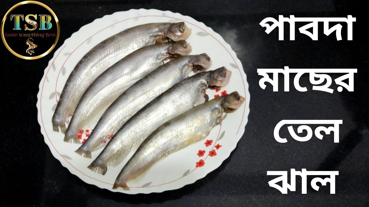 Pabda macher tel jhol।।pabda macher recipe।।pabda fish recipe in ...