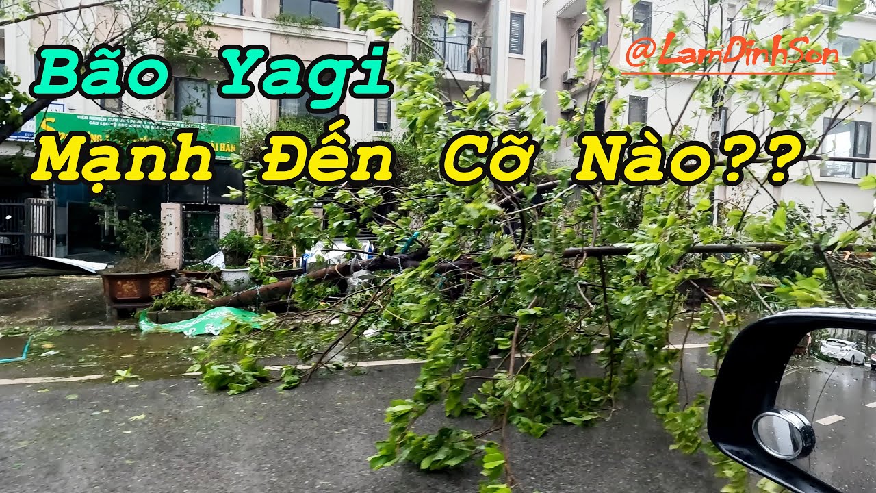 Bão Yagi đổ bộ vào Hạ Long . Yagi Typhoon hits Ha Long City - YouTube