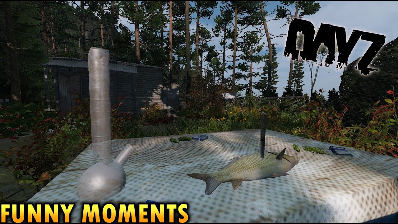 DayZ Funny/Epic Moments EP:02 (Hardcore Dayone Namalsk) - YouTube