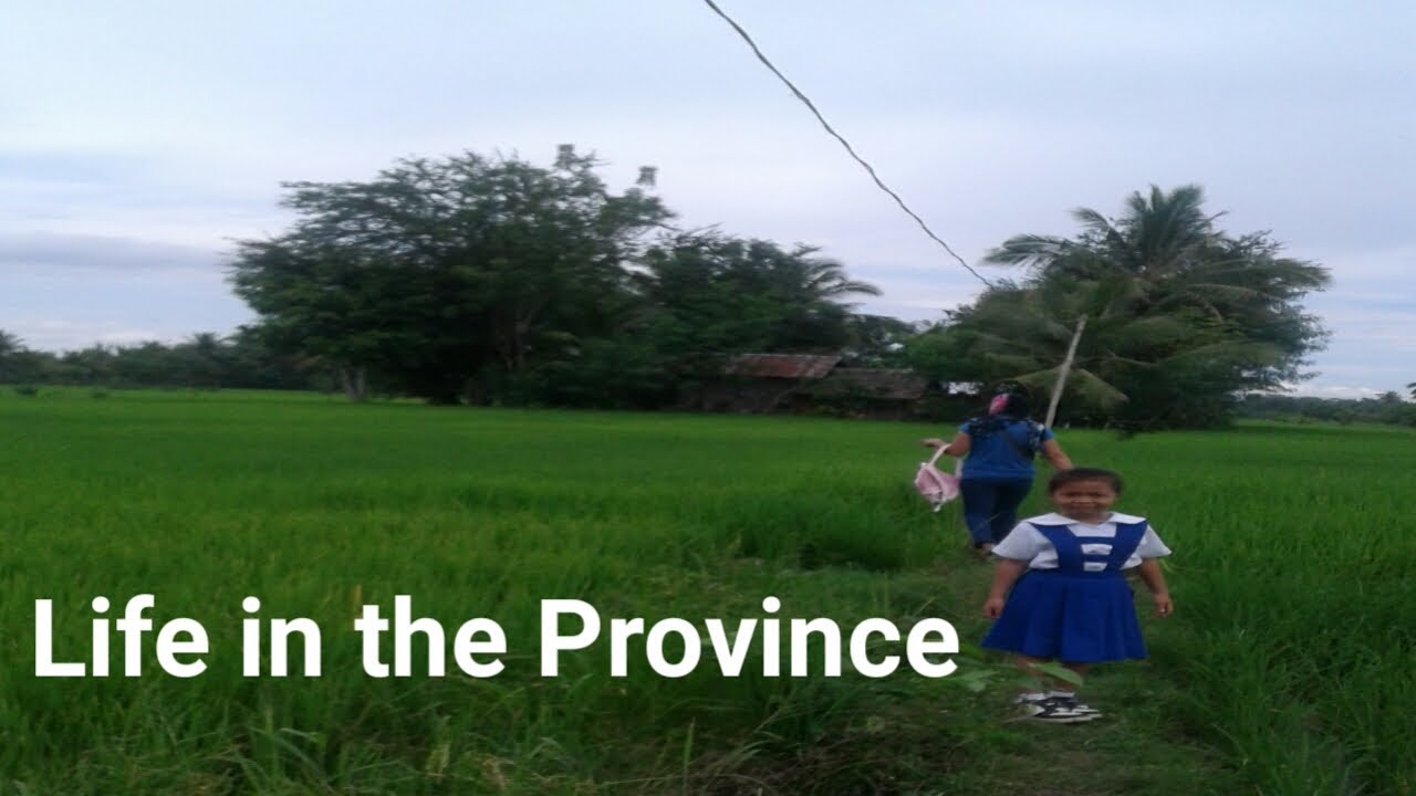 "Life in the Province" - YouTube