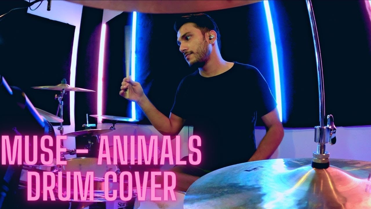MUSE - ANIMALS - DRUM COVER #muse #animals #drumcover - YouTube