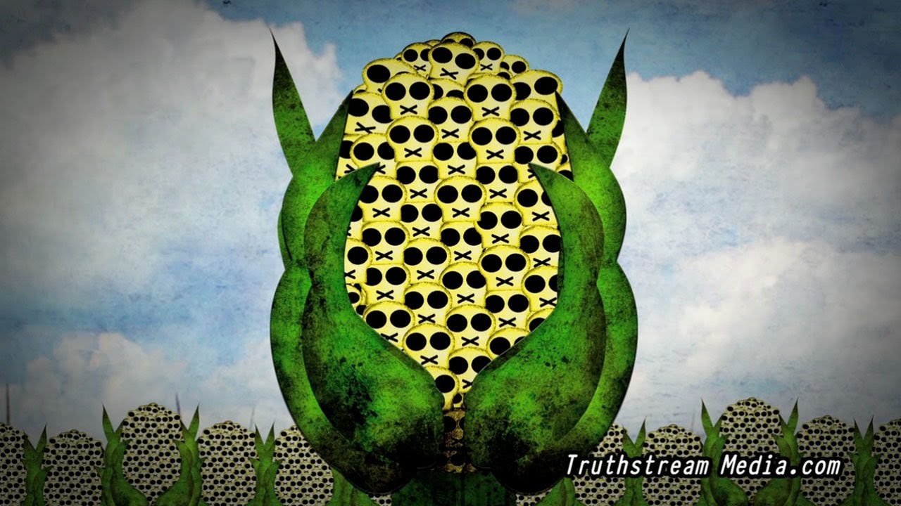 Coming Soon: Corn-tamination* - A Mini-Documentary on the Rise of ...