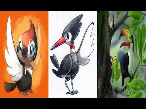 Pokémon: Pikipek Family Scientific Analysis - YouTube