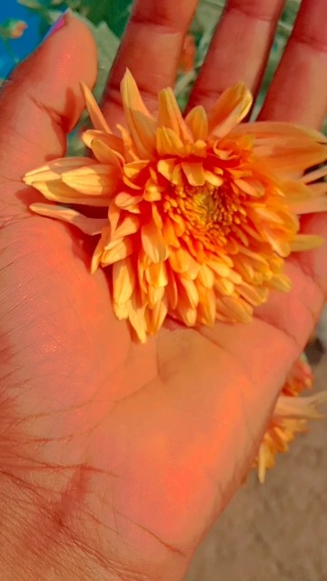 Lakho duwy Love #happy #cute falwar🏵️🏵️🏵️🏵️🏵️ - YouTube