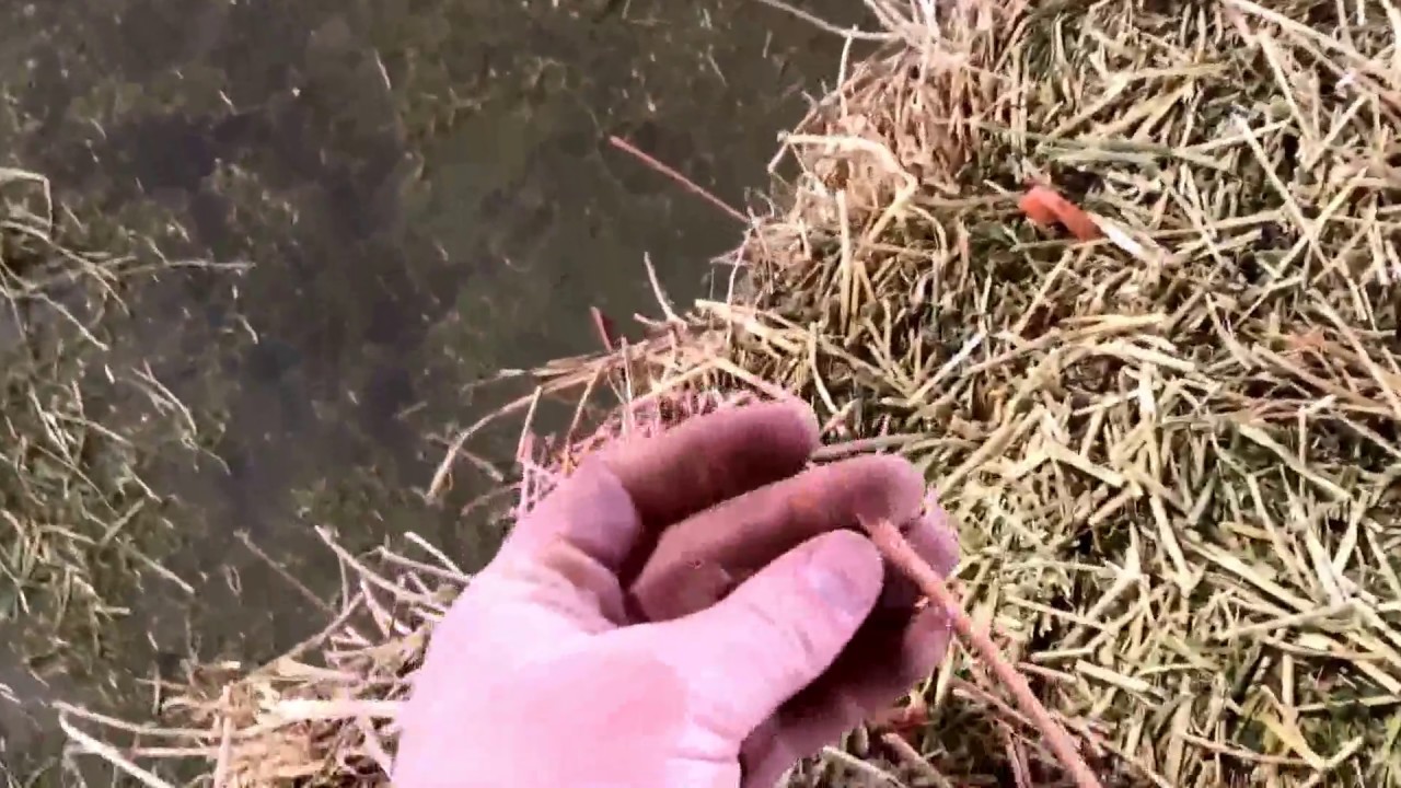 How to cut strings off big bale of hay, with ropes on bottom, both ...