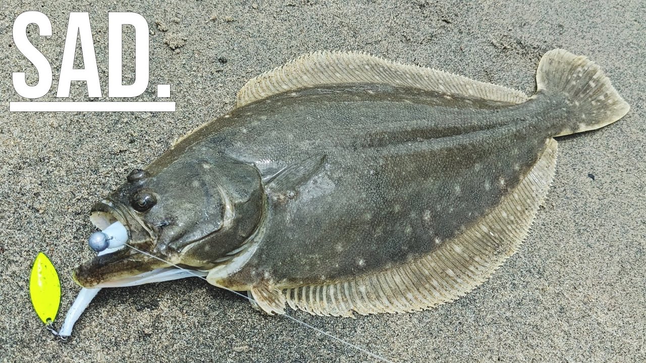 The TRUTH About Fluke Season 2024 - Flounder Fishing - YouTube