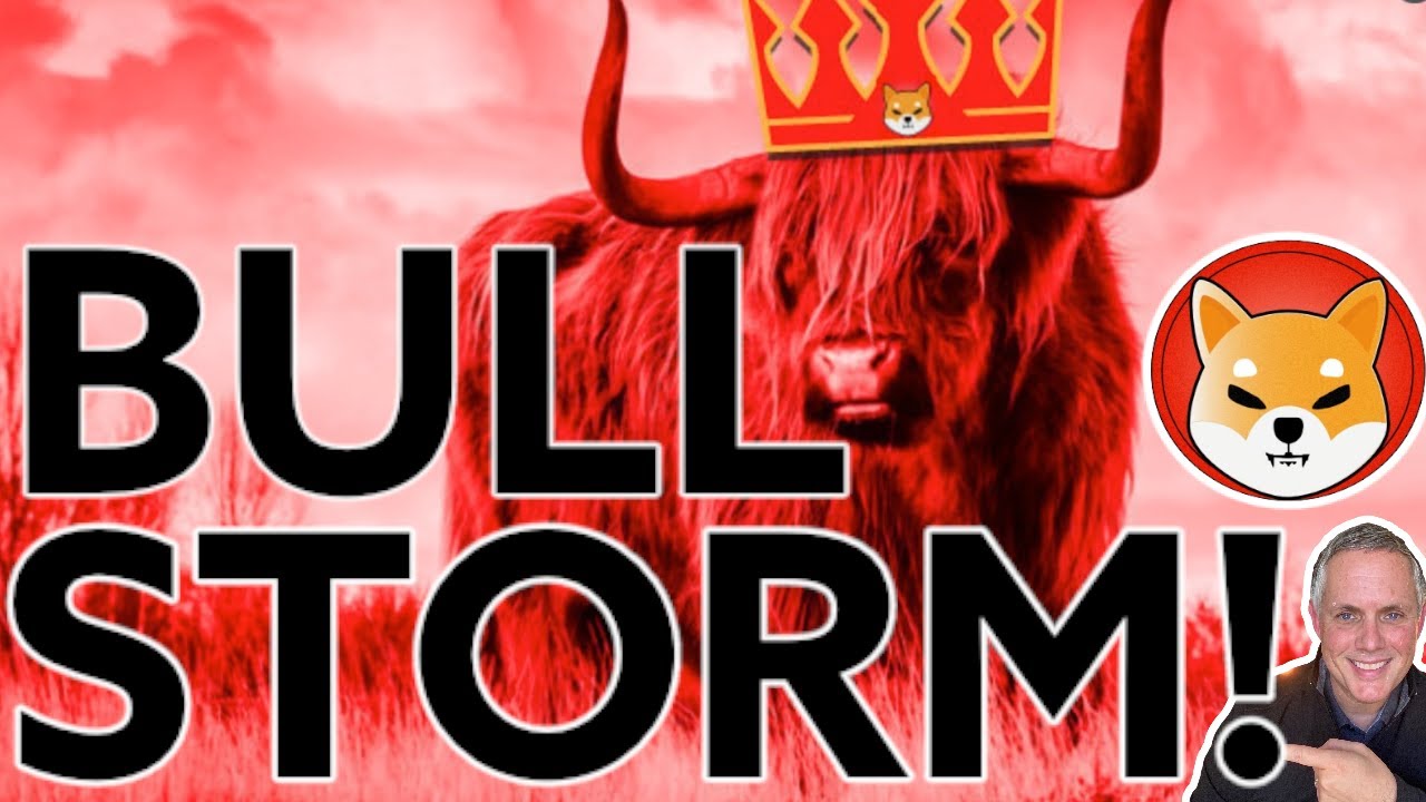 SHIBA INU - "BULL STORM!" (SHIBA INU COIN NEWS TODAY) - YouTube