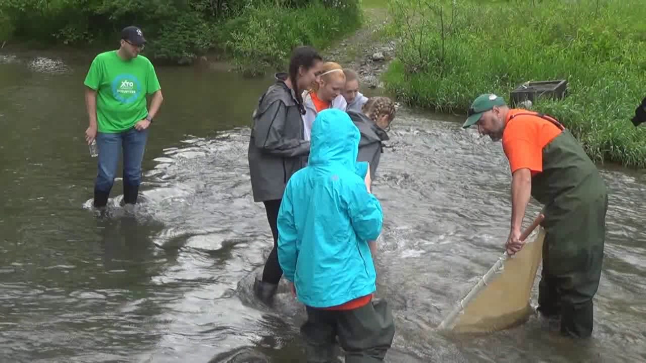 Kick netting - YouTube